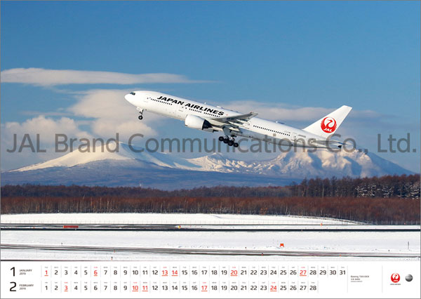 JAL「FLEET」（大型判） 2019年カレンダー-amiami.jp-あみあみオンライン本店-