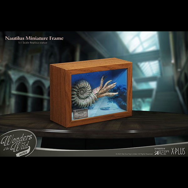 ワンダーズ オブ ザ ワイルド オウムガイ-amiami.jp-あみあみオンライン本店-