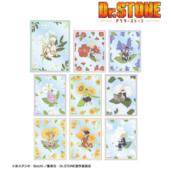 TVアニメ「Dr.STONE」 トレーディング Botania アクリルカード 9個入りBOX-amiami.jp-あみあみオンライン本店-