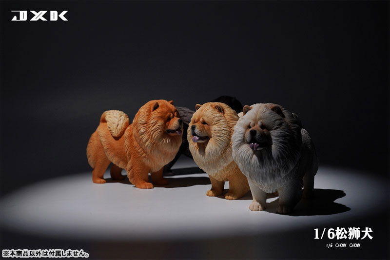 1/6 チャウチャウ A-amiami.jp-あみあみオンライン本店-