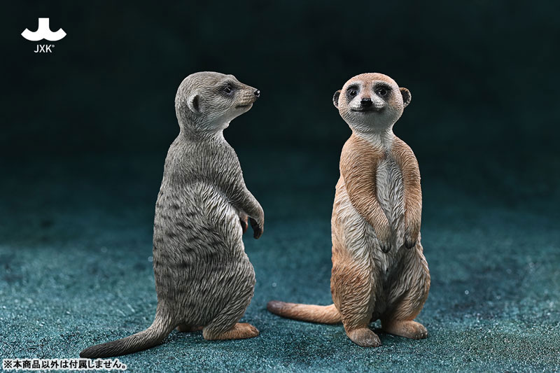 1/6 ミーアキャット B-amiami.jp-あみあみオンライン本店-