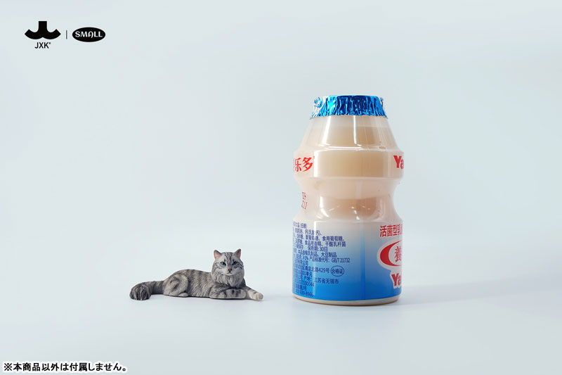 JXK スモール ミニ メインクーン B-amiami.jp-あみあみオンライン本店-