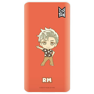 TinyTan USB/USB Type-C 4000mAh リチウムイオンポリマー充電器 2.1A RM-amiami.jp-あみあみ ...