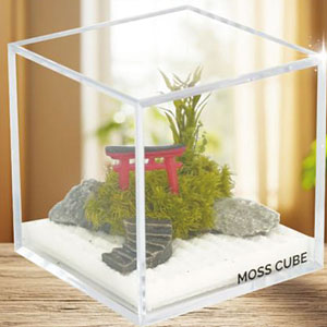 MOSS CUBE Preserved 苔庭と鳥居-amiami.jp-あみあみオンライン本店-